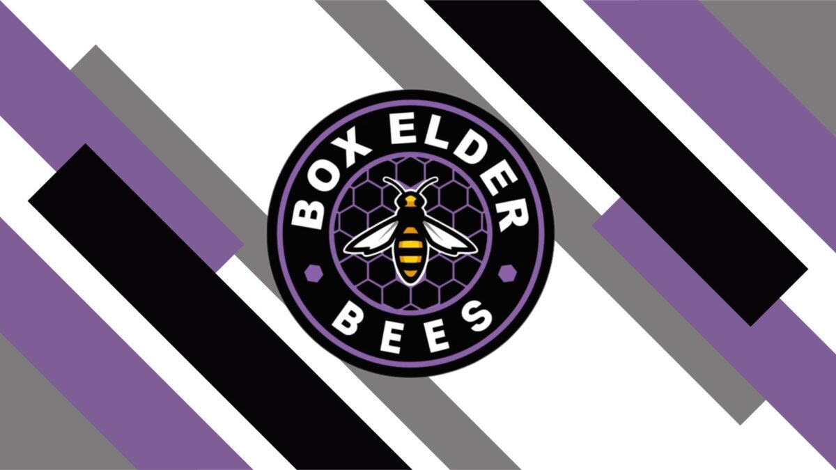 Prep roundup: Box Elder, Clearfield stay atop Region 5 girls soccer ...